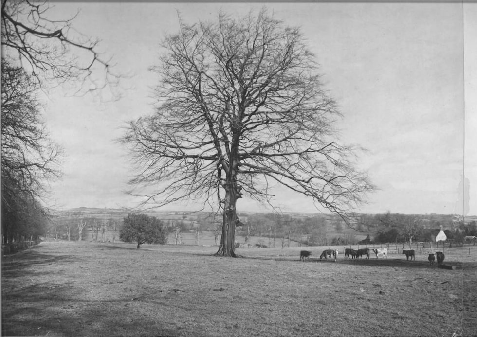 About Us | Colliton Club & Bar